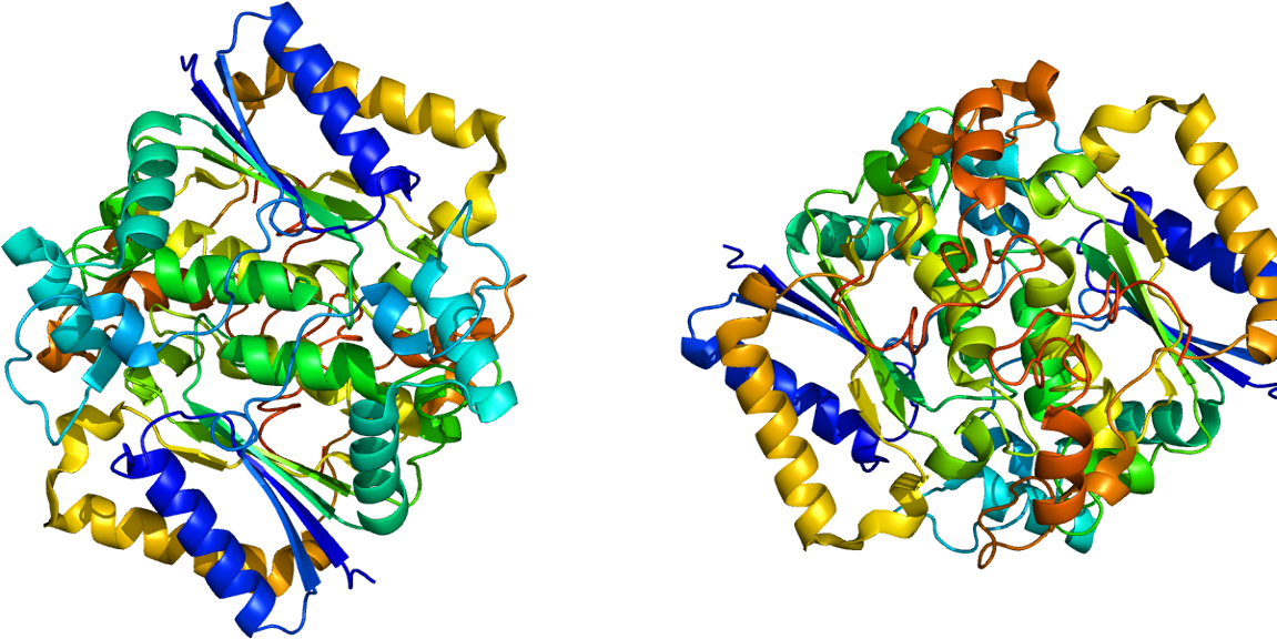Nqo1 Enzyme Clipart - Full Size Clipart (#1571075) - PinClipart