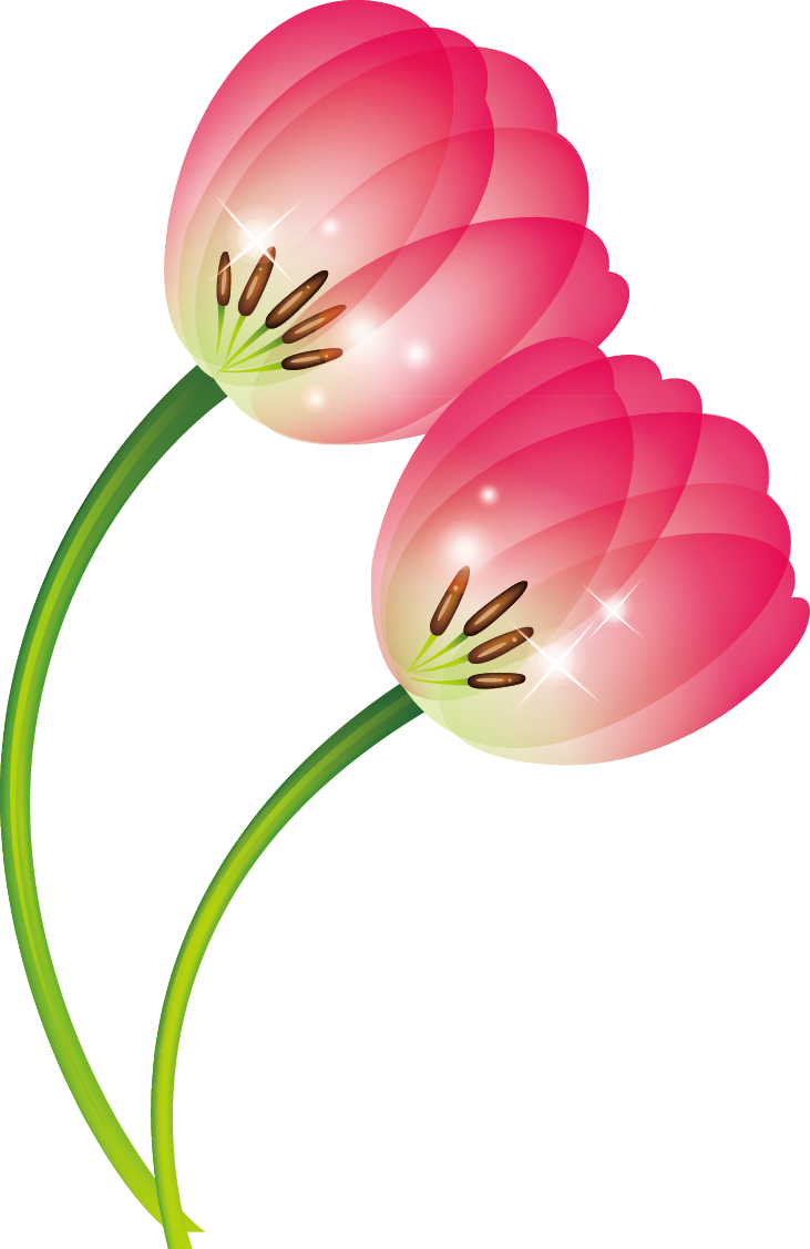 Tulip Clip Art - Clip Art - Png Download - Full Size Clipart (#1580865 ...