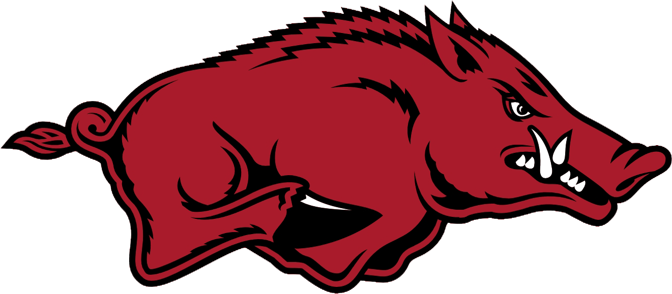 University Of Arkansas Razorback Quidditch - Animated Arkansas ...