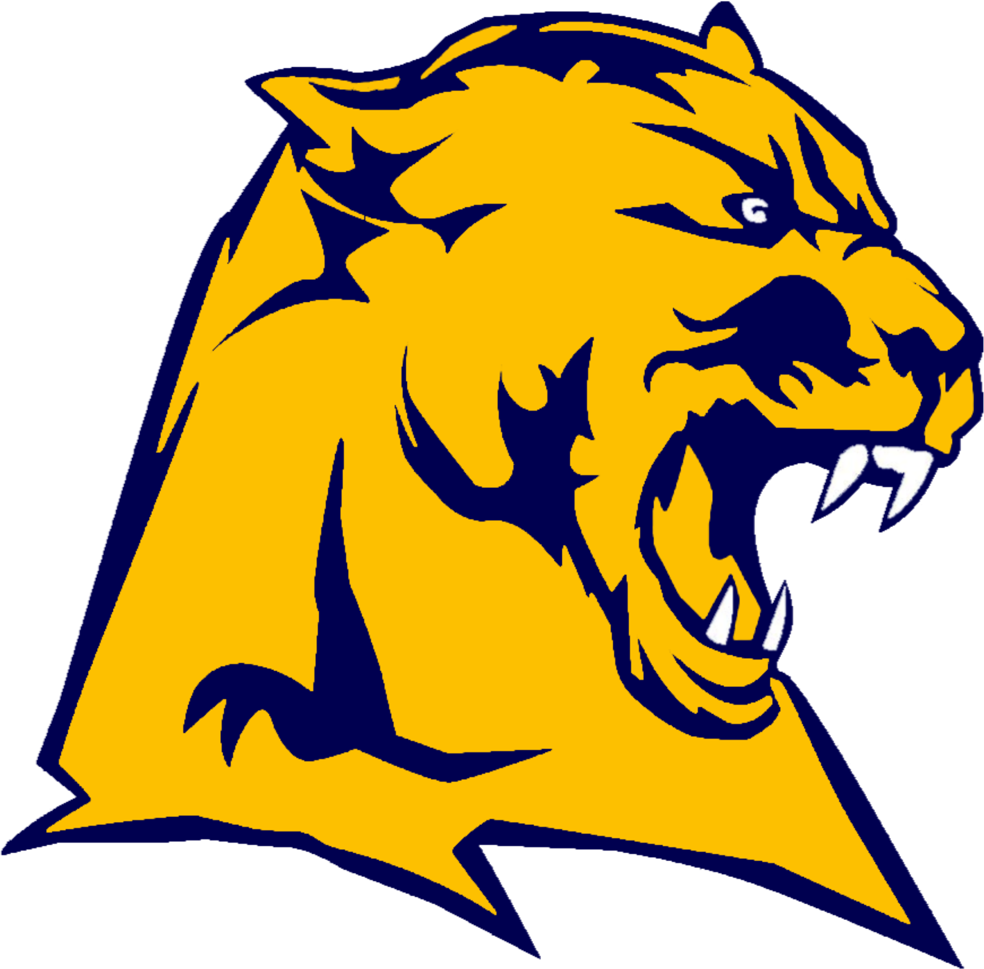 Junior Panther Wc Border Brawl - Whitmer Panthers Clipart - Full Size ...