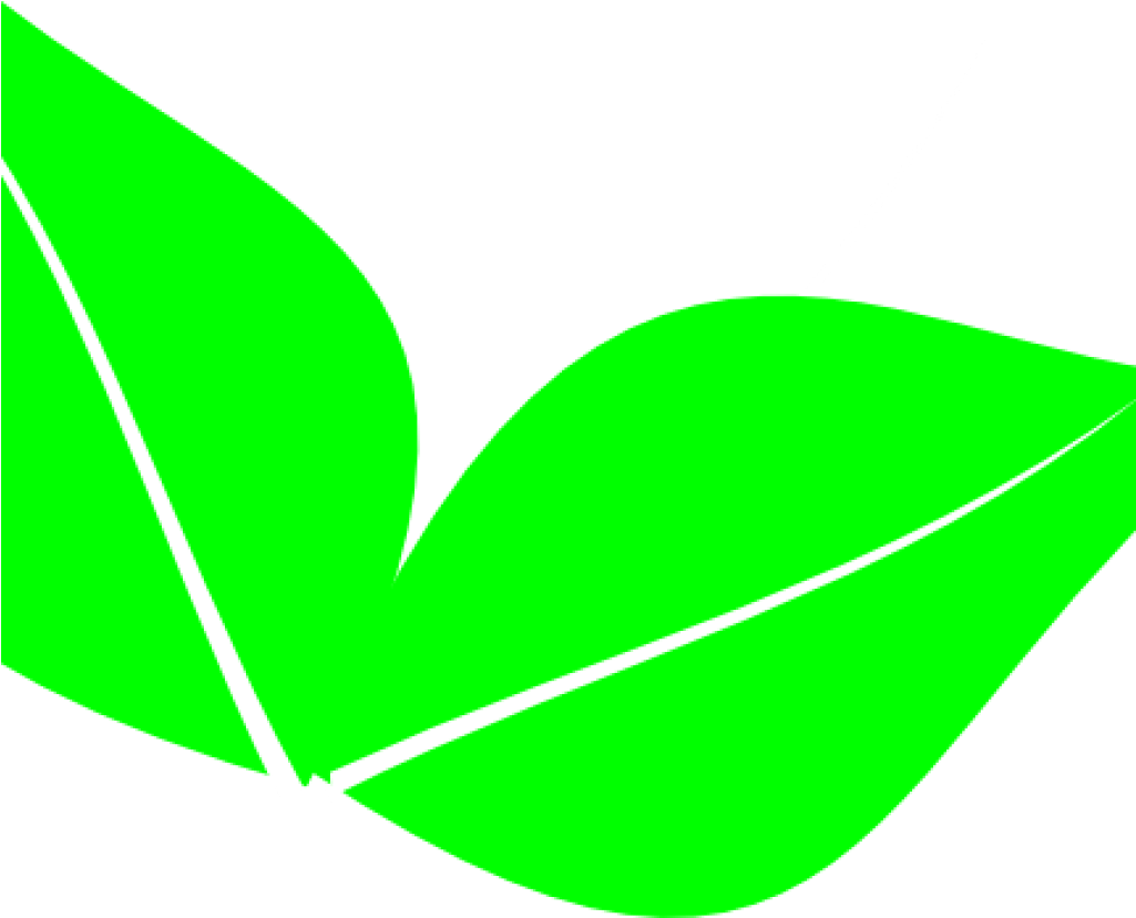 Green Leaf Clipart Green Leaf Clipart Two Leaves Clip - Clip Art - Png ...