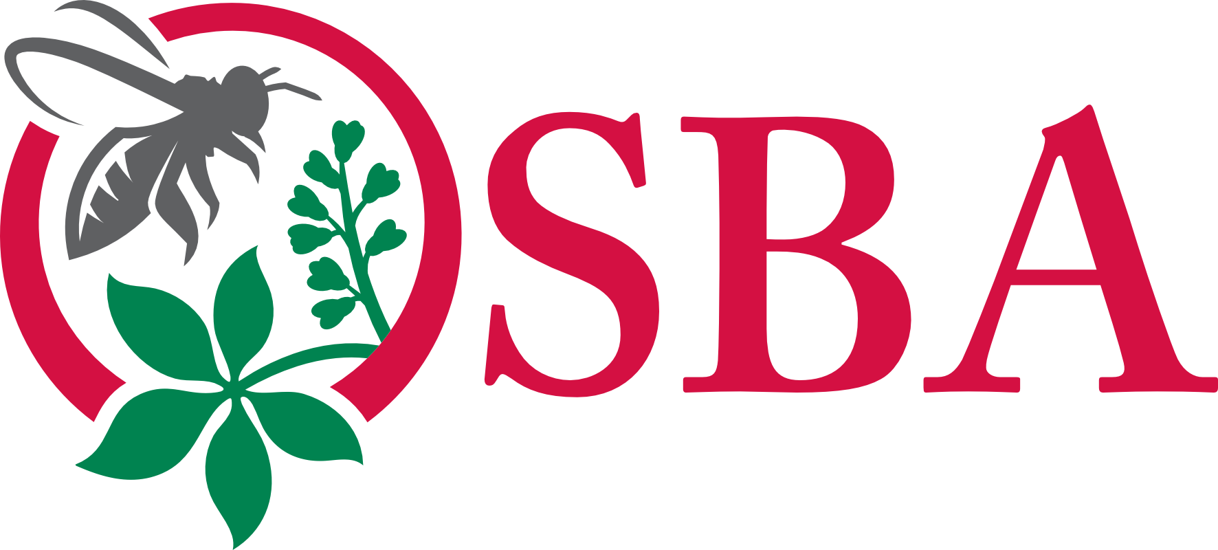 Color Vector Graphics - Usc Annenberg Logo Clipart - Full Size Clipart ...