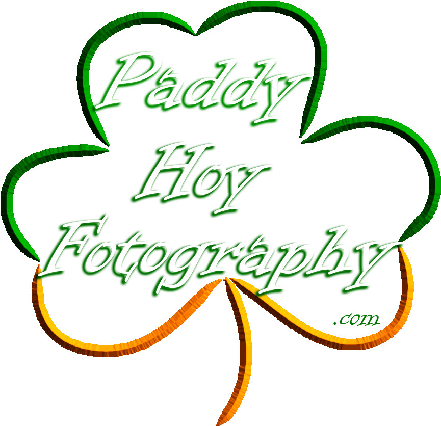 Paddy Hoy Fotography - Calligraphy Clipart - Full Size Clipart ...