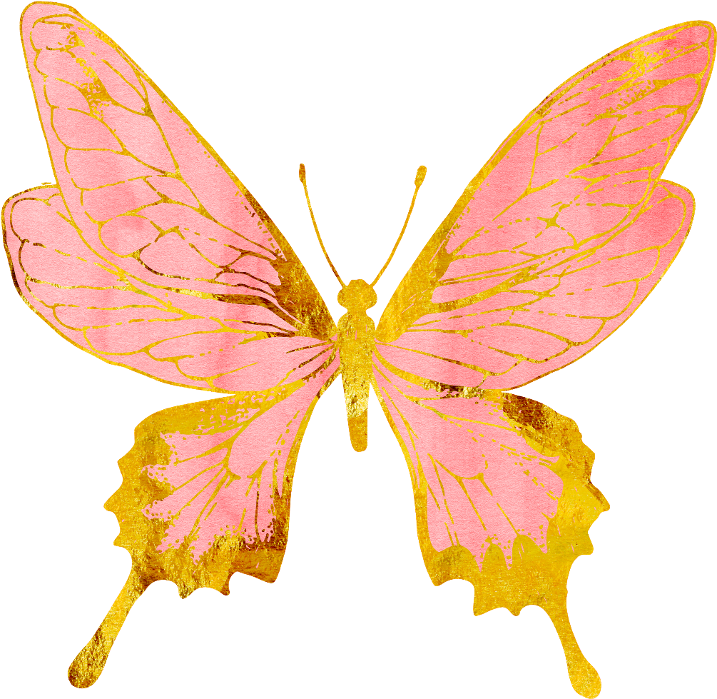 Connection - Freedom - Authenticity - - Pink And Gold Butterflies ...