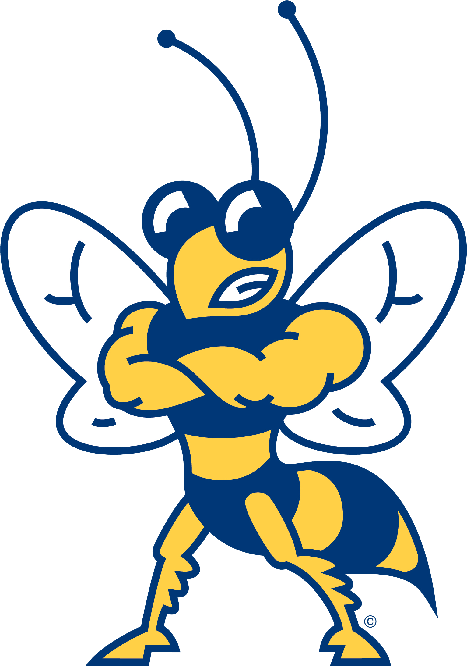 Howard Payne Yellow Jackets - Howard Payne University Yellow Jackets ...
