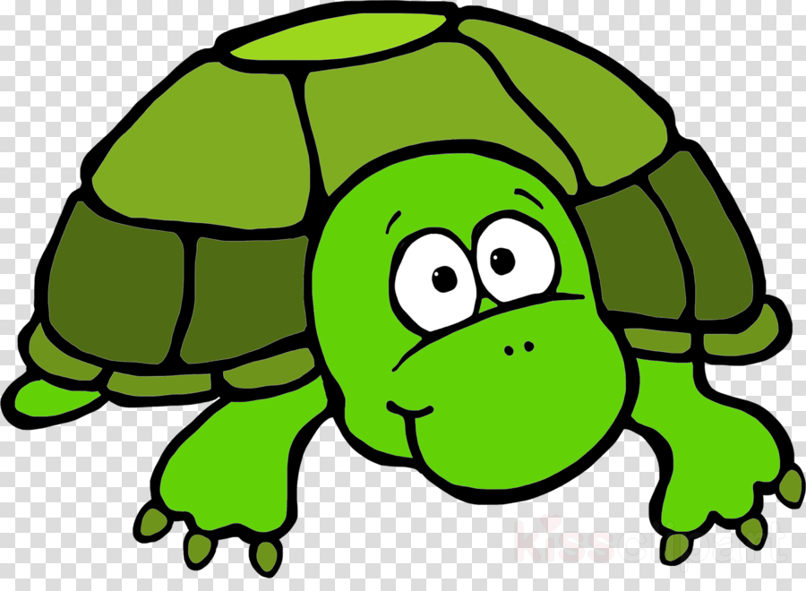 Turtle Clipart Sea Turtle Clip Art - Turtle Clipart In Png Transparent ...