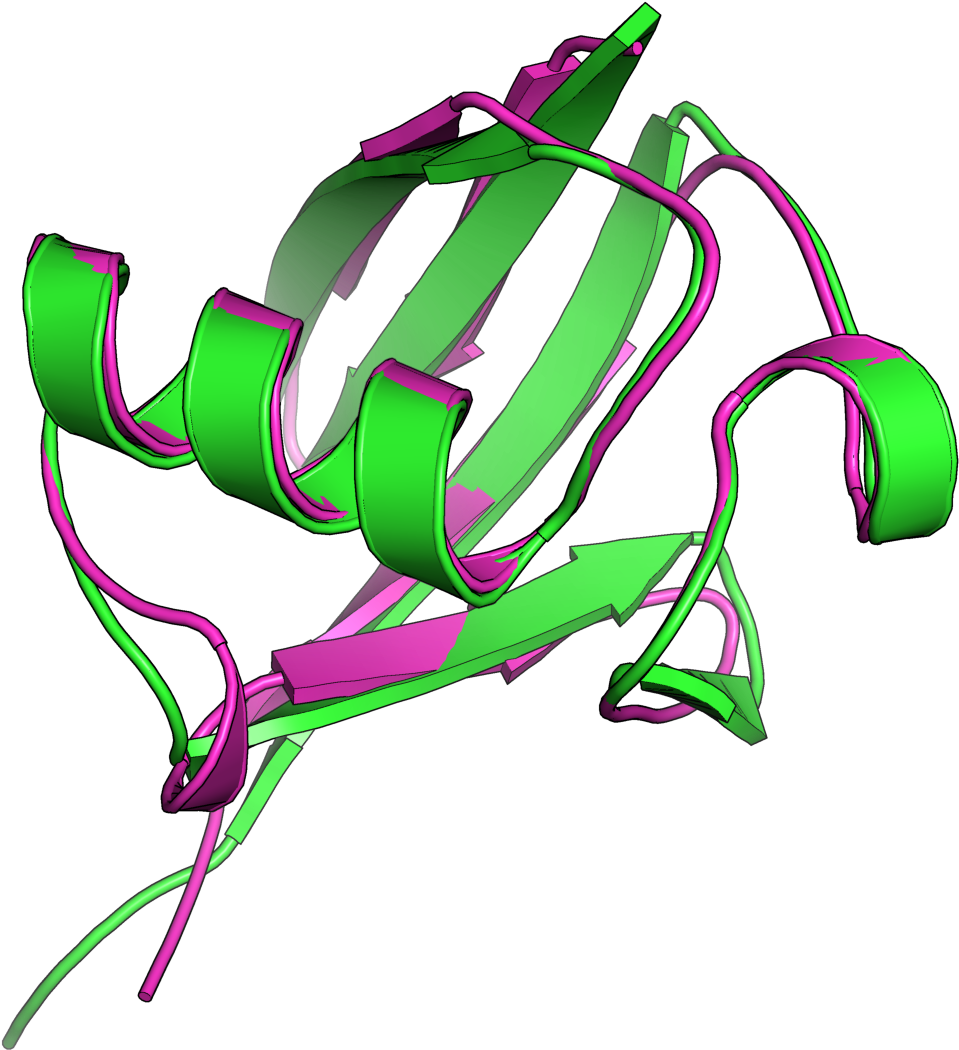 Protein Clipart - Full Size Clipart (#1666563) - PinClipart