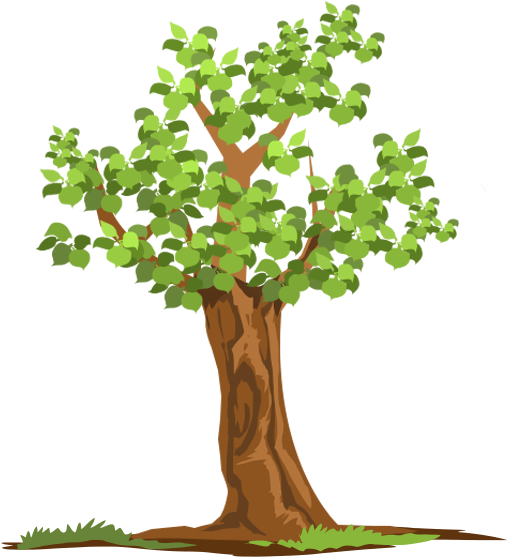 Download Clipart Leaf Pipal - Pipal Ka Ped Png Transparent Png ...