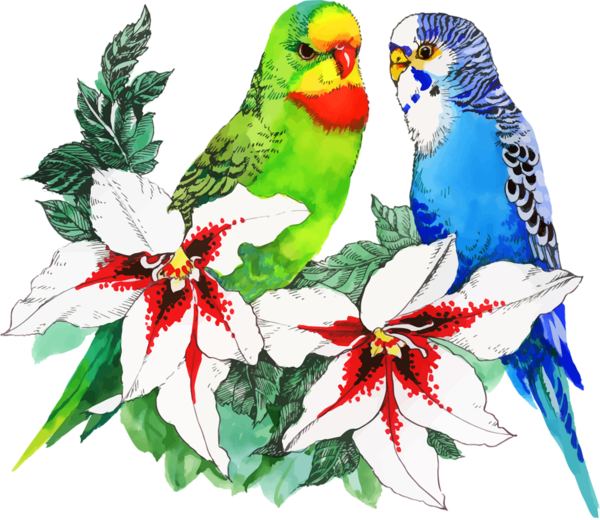 Download Parrots - Birds With Flowers Drawing Clipart (#1696156 ...