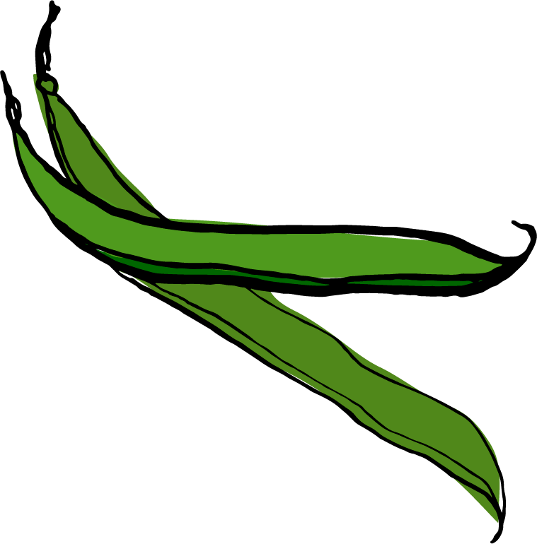 Runner Beans Clipart - Full Size Clipart (#1725342) - PinClipart