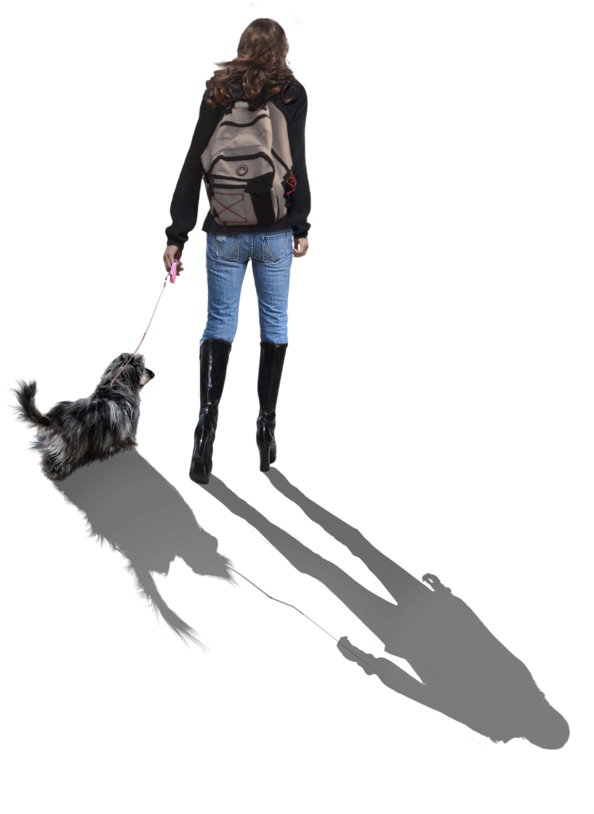 Download Walking Dog Png Clipart Royalty Free - Dog Transparent Png ...