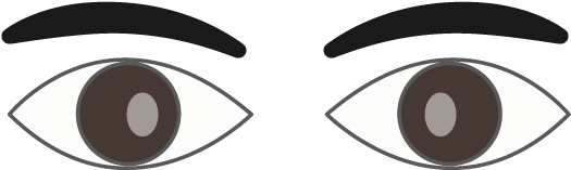 Eyebrows - Free Illustration - Clip Art - Eyelid - Png Download - Full ...