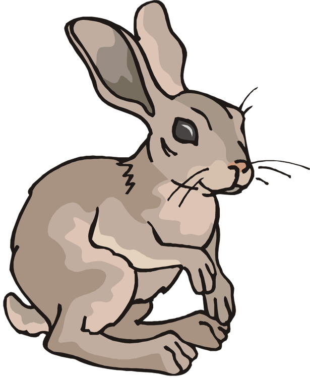 Download Cartoon Hare Clipart (#1804043) - PinClipart