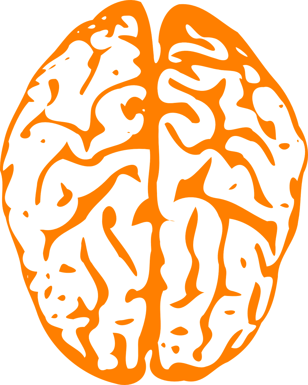 3 Theories About The Teenage Brain - Transparent Background Brain ...