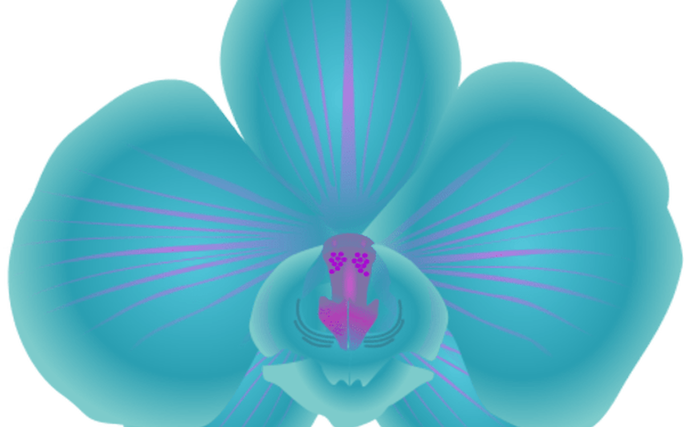 Teal Flower Clipart Image - Clip Art - Png Download - Full Size Clipart ...