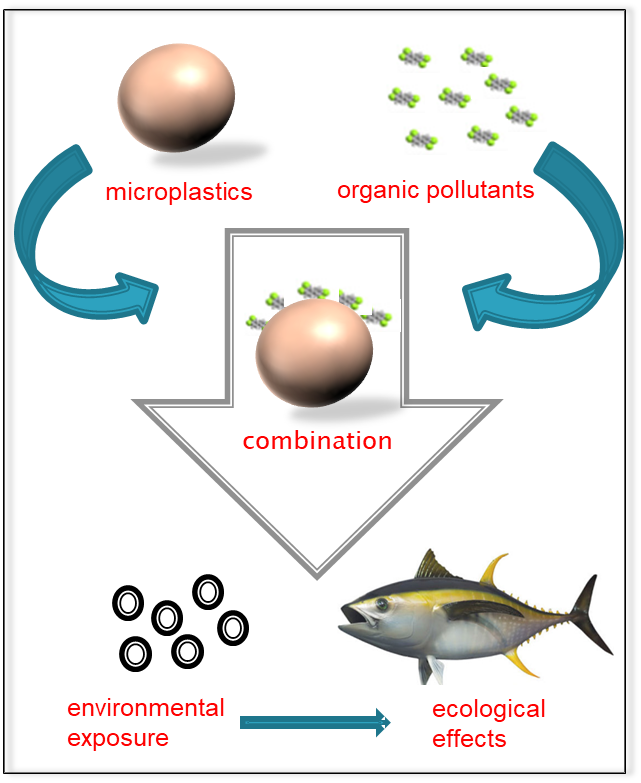 Download Microplastics-flowchart - Microplastics Clipart (#1822968 ...