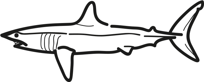 Mako Shark - Shortfin Mako Shark Clipart - Full Size Clipart (#1832739 ...