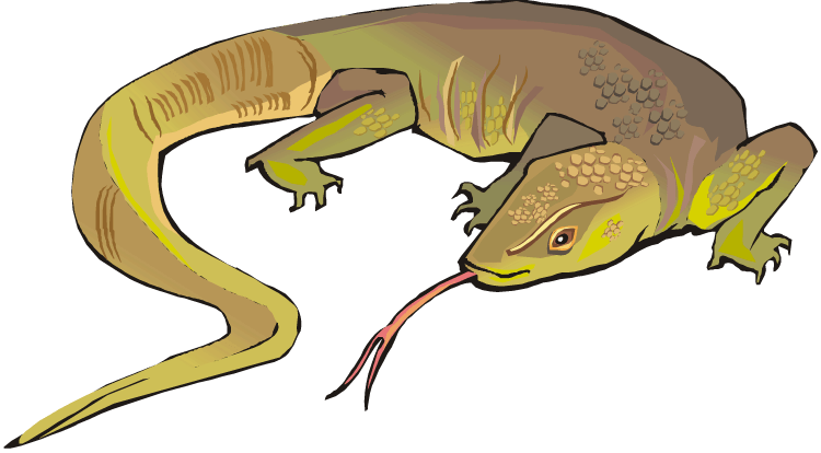 Clip Free Cliparts Zone - Monitor Lizard Cartoon Png Transparent Png ...
