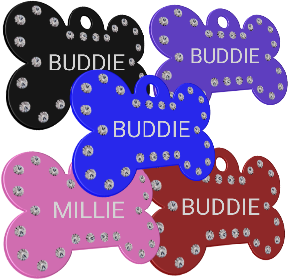 Download Pet Id Tags Clipart (#1867909) - PinClipart