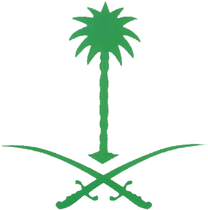 Download Emblem Of Saudi Arabia Png - Saudi Arabia Palm Tree Clipart ...