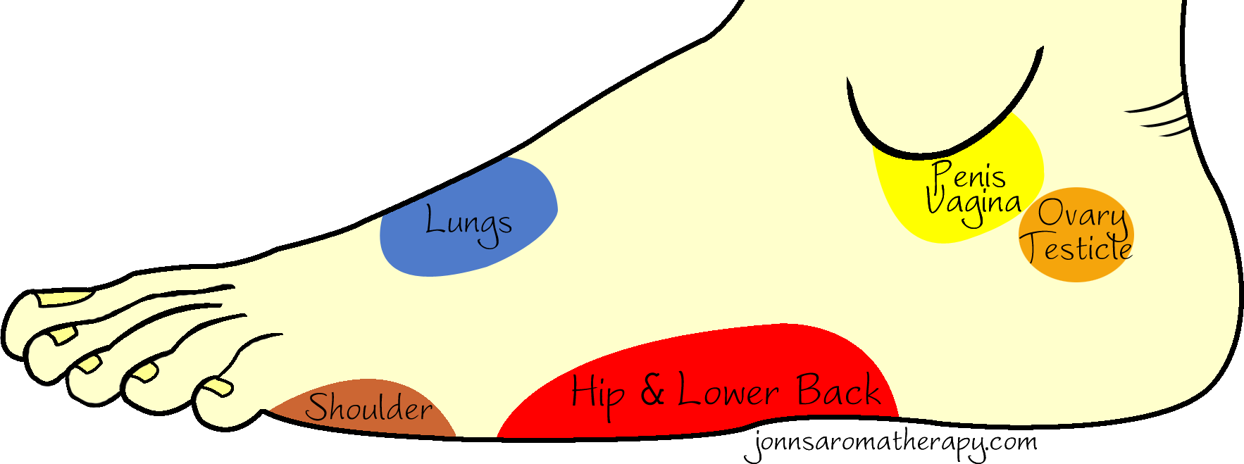 Foot - Outside Clipart - Full Size Clipart (#1906755) - PinClipart