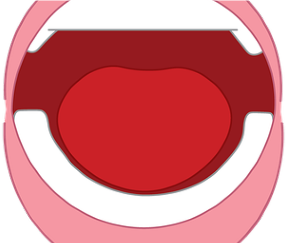 Circle Clipart - Full Size Clipart (#1909782) - PinClipart