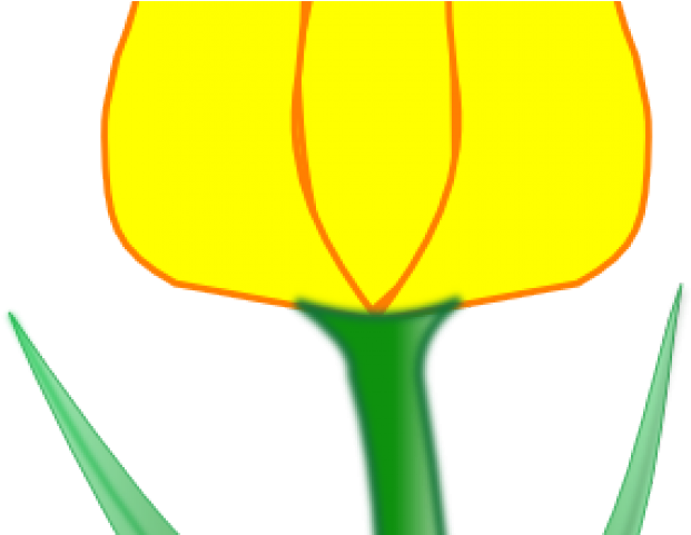 Tulip Clipart Tulip Flower - Clip Art - Png Download - Full Size ...