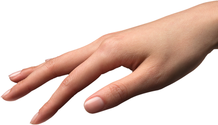 Hammer Clipart Left Handed - Png Download - Full Size Clipart (#1920146 ...