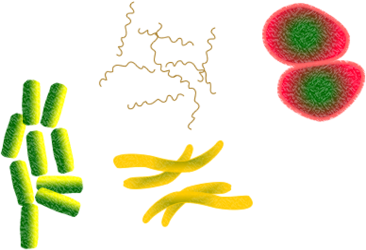 Bacteria Microbes Infection Png Image - Bacteria Clipart - Full Size ...