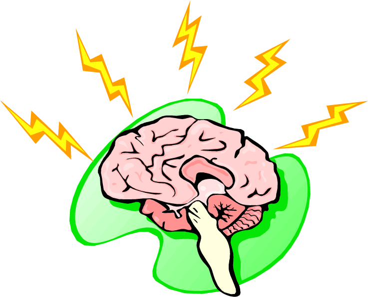 Nervous System Clipart