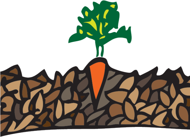 Natural Environment Clipart Simple Plant - Png Download - Full Size ...