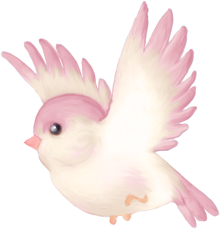Birds ‿ ⁀°•• More - Birds Pink Png Clipart - Full Size Clipart ...