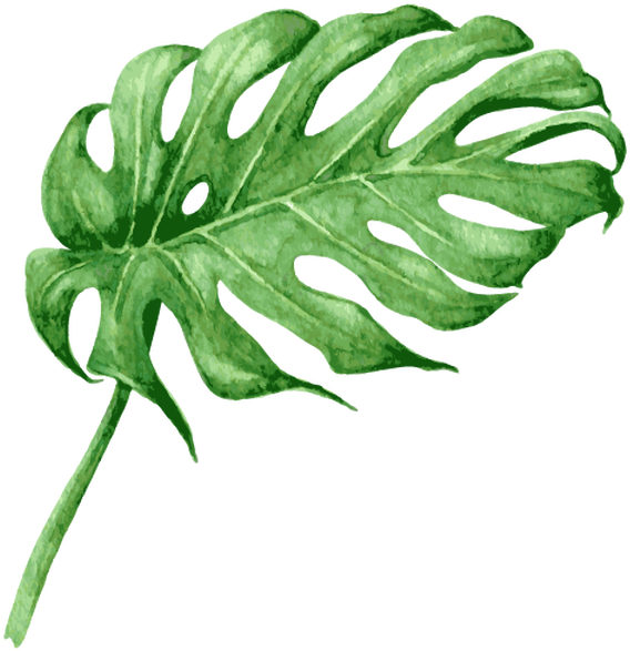 Download Maha Farhoud - Incado Heaven On 3rd Collection Leaf Green Framed Poster, Clipart ...