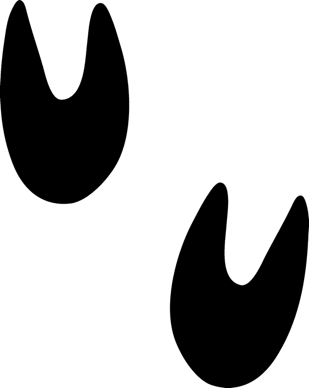 Pig Tracks Png Clipart - Full Size Clipart (#1971919) - PinClipart