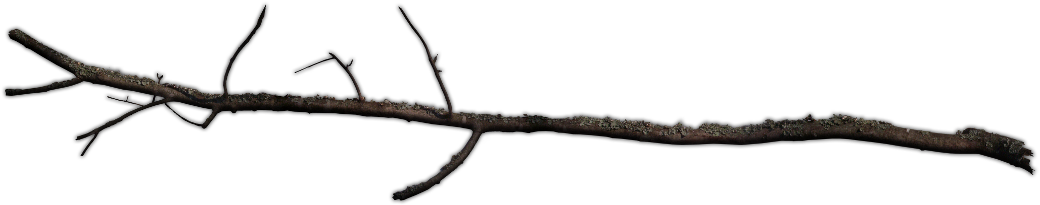 Picture And Hd Wallpapers X-wing Star Wars Symbol Star - Branch Png ...