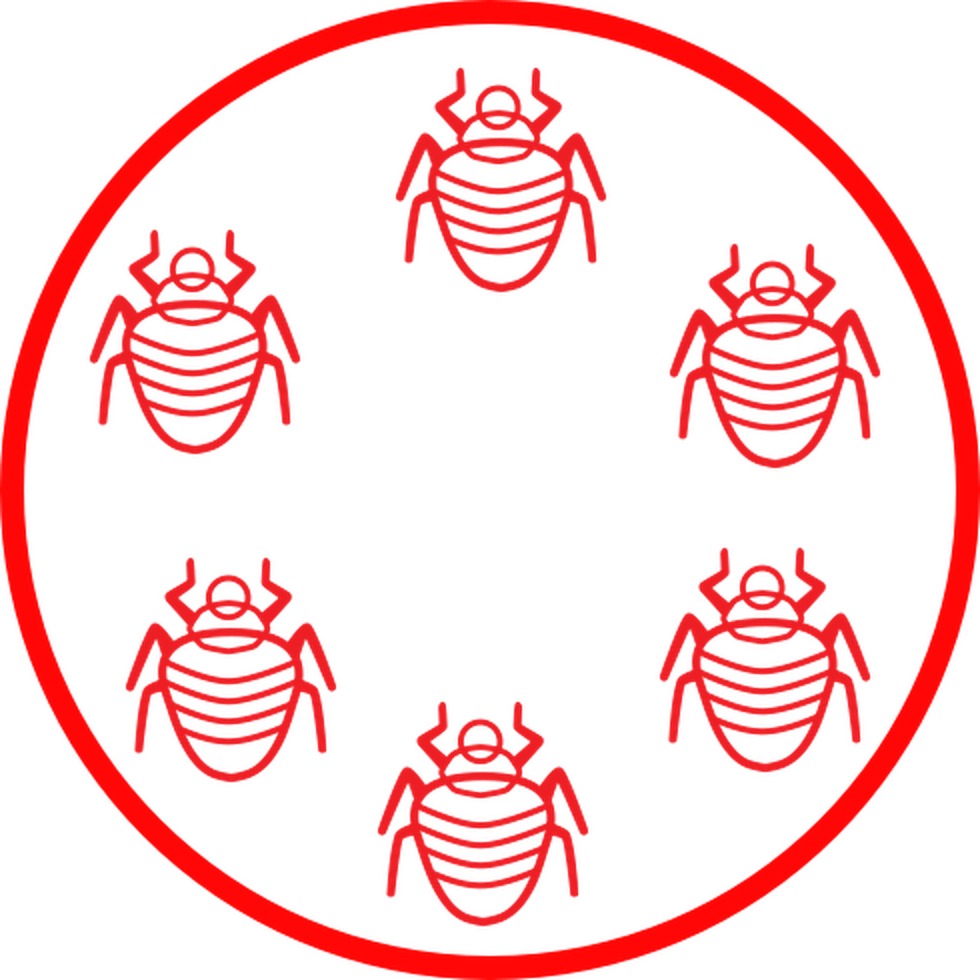 Bed Bug Life Cycle - Bed Bug Bite Clipart - Full Size Clipart (#1976886) - PinClipart