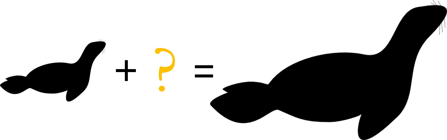 Pinniped Clipart - Full Size Clipart (#1994225) - PinClipart