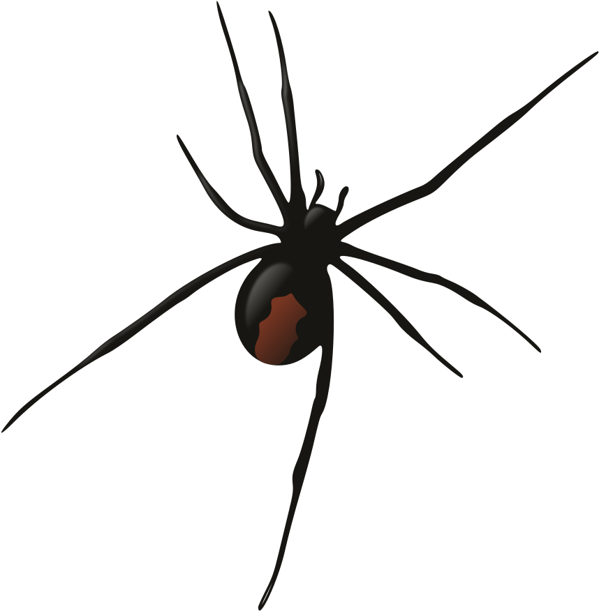Female Redback Spider - Redback Spider Silhouette Png Clipart - Full ...