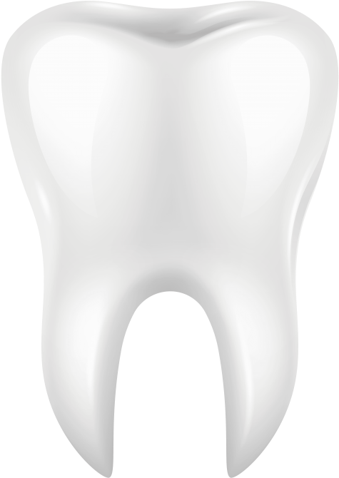 Free Png White Tooth Png Images Transparent - Tooth Png Clipart - Full ...