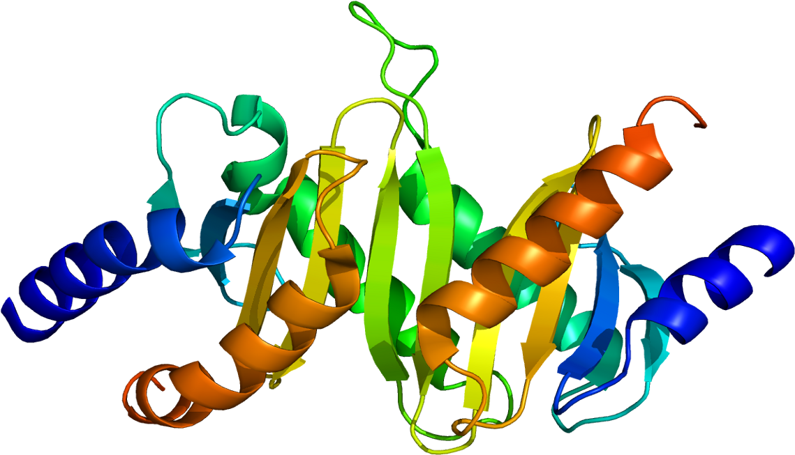 Recombinant Proteins Clipart - Full Size Clipart (#2039304) - PinClipart