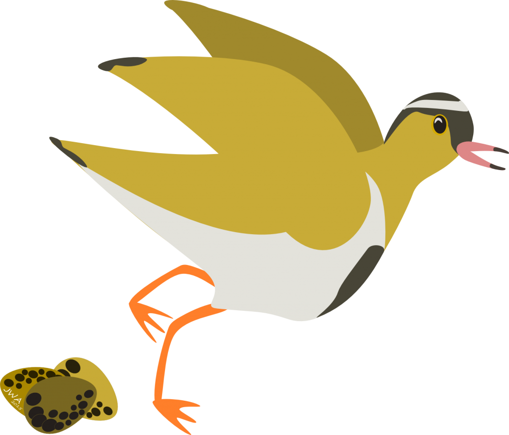 You Can Run Or You Can Hide - Duck Clipart - Full Size Clipart ...