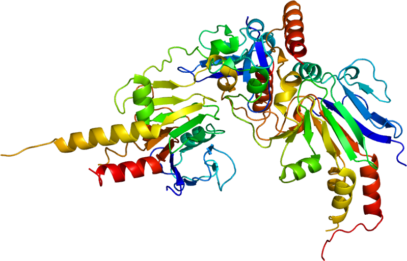 Ski Protein Clipart - Full Size Clipart (#2054225) - PinClipart