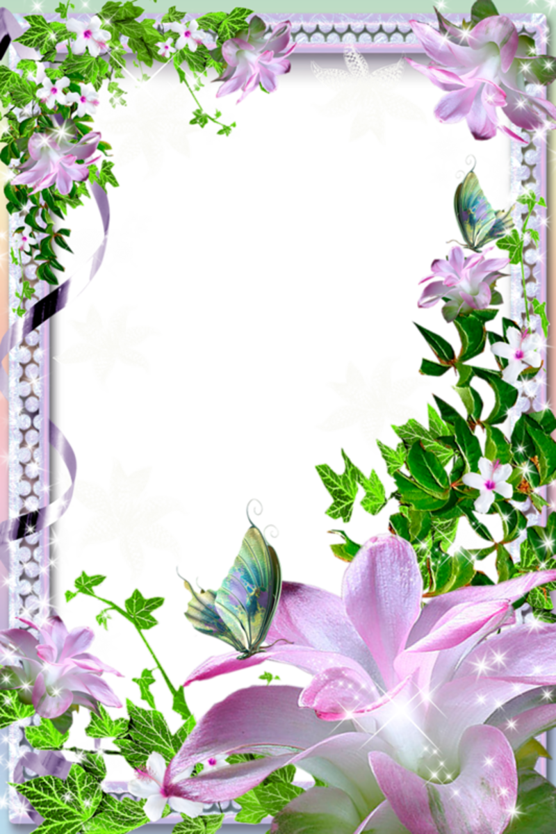 Beautiful Picture Frames Transparent Photo Frame With Clipart Full