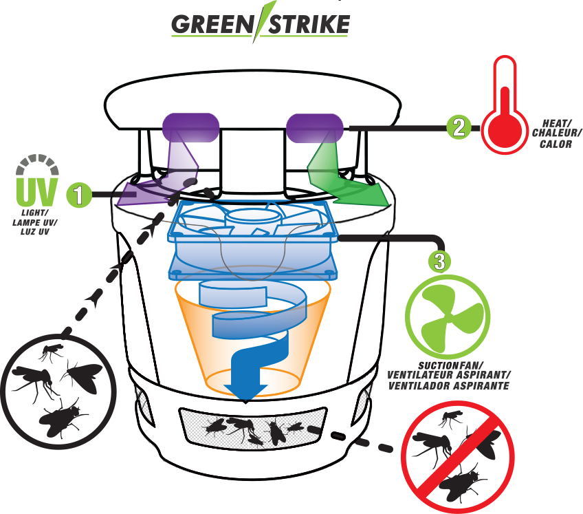 A High Powered Suction Fan Captures The Flying Insects, - Insectfz ...