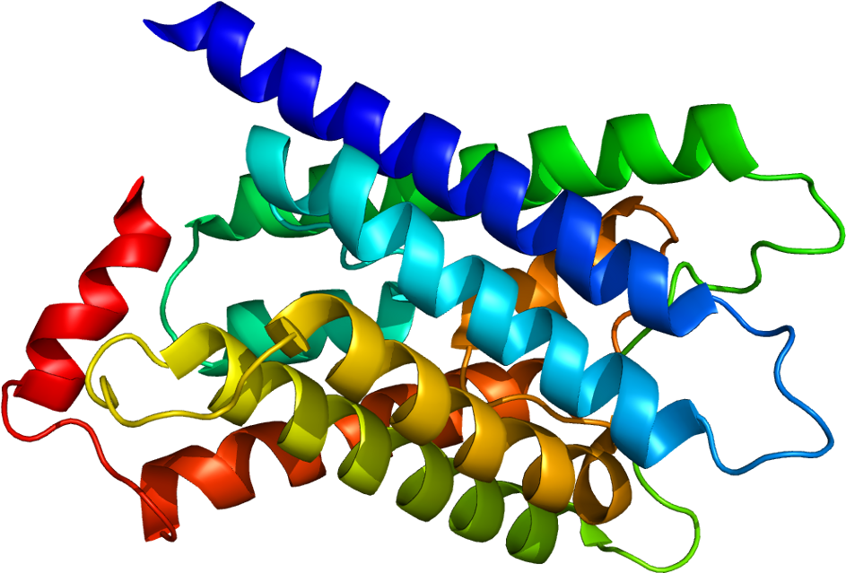 Download Mip Proteina Clipart (#2077880) - PinClipart