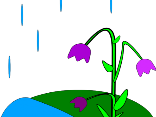Animated Spring Clipart - Raining Animation - Png Download - Full Size ...