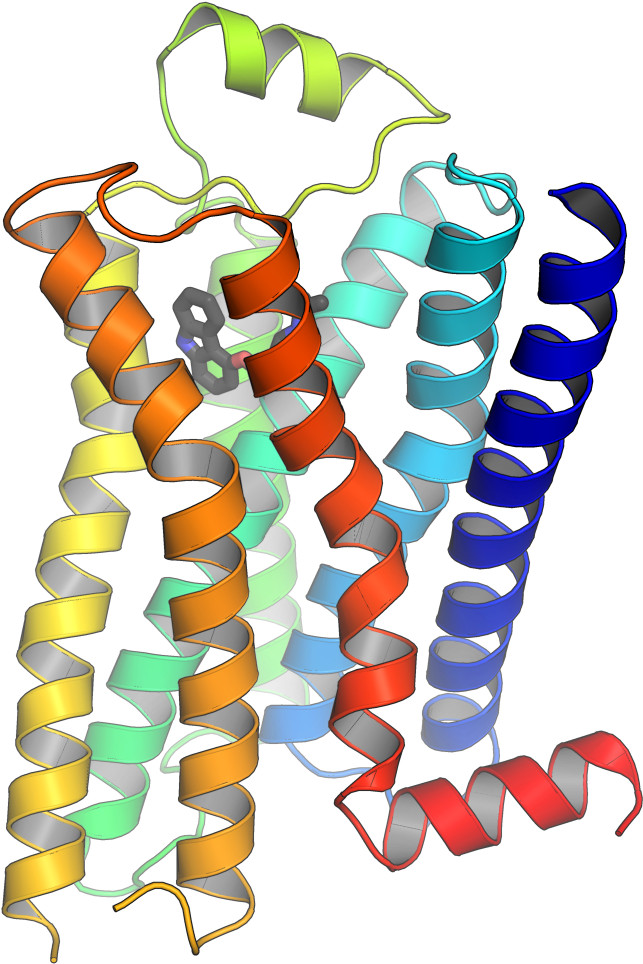receptor-proteins-clipart-png-download-full-size-clipart-216626