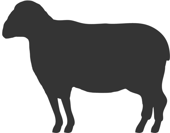 Download Lamb - Sheep's Meat Clipart (#2101815) - PinClipart