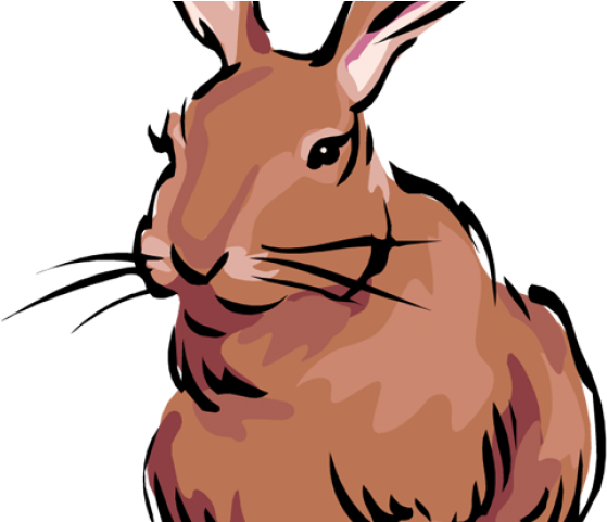 Rabbit Clipart Banner - Black Tailed Jackrabbit Animated - Png Download ...