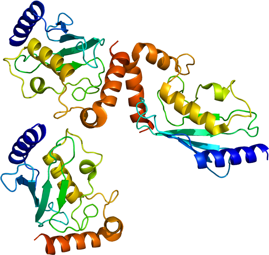 Clusterin Protein Clipart - Full Size Clipart (#2157989) - PinClipart